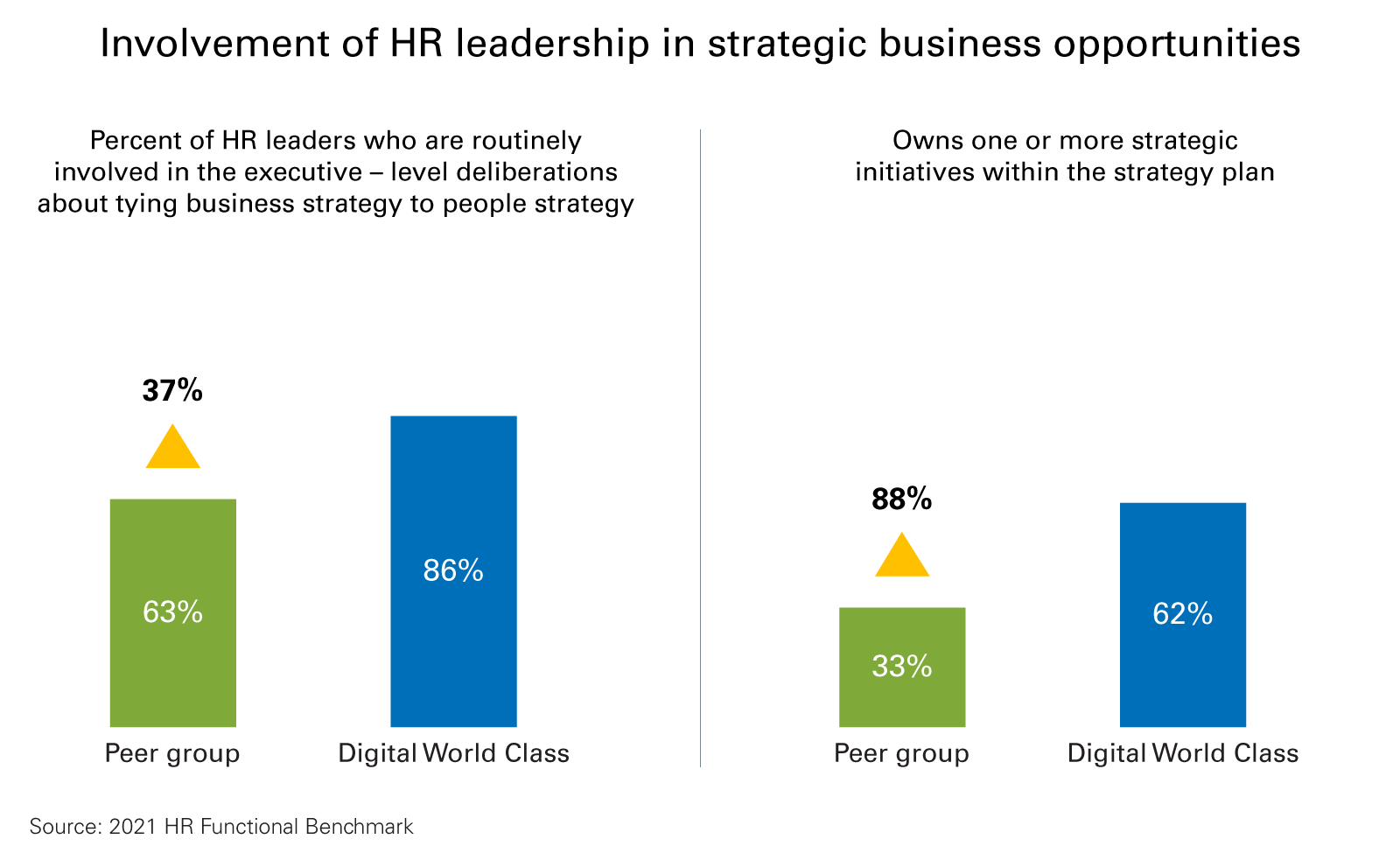 HR Strategy and HR Operational Excellence - The Hackett Group
