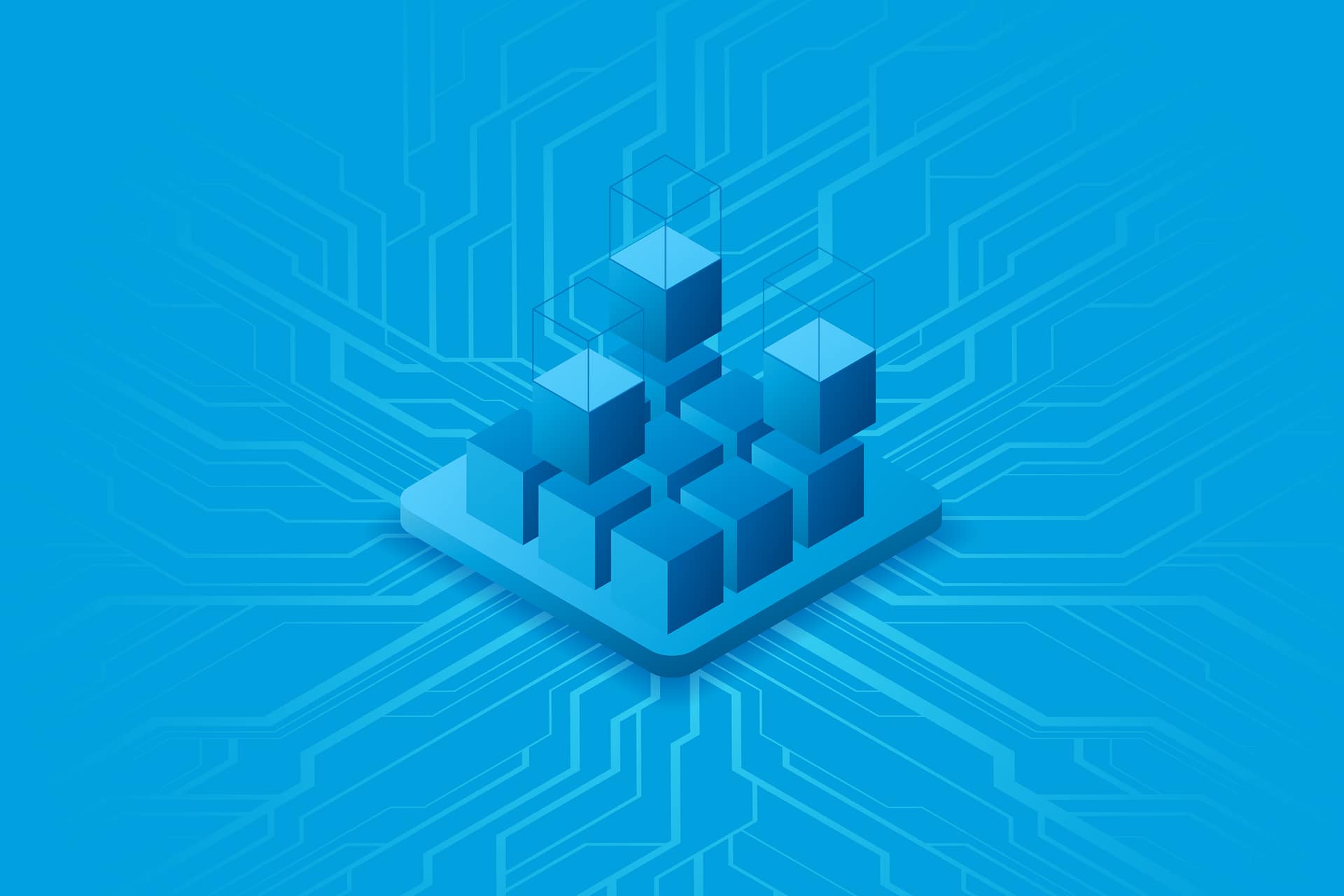 Sizing Up the Technology Digital World Class® Advantage - The Hackett Group